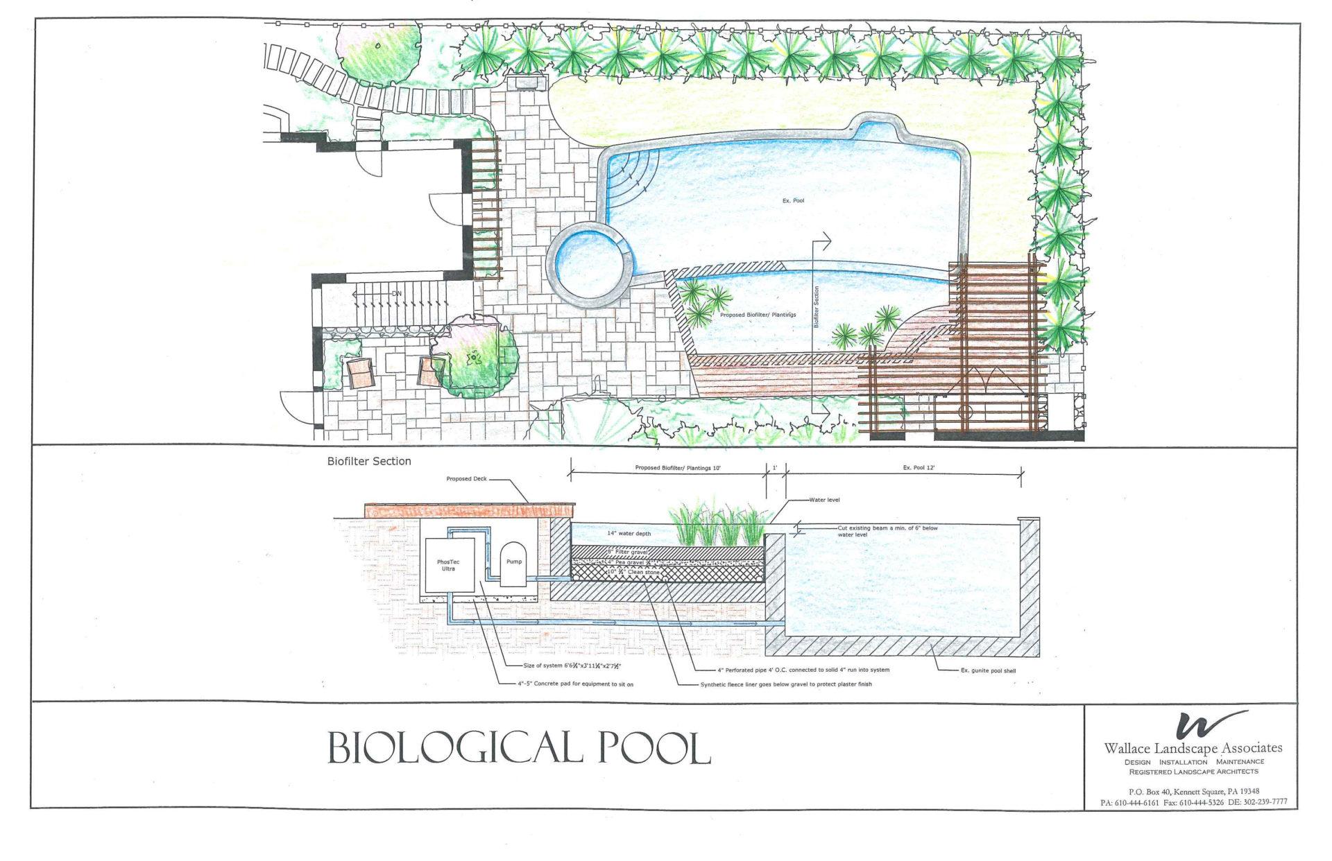 Natural Swimming Pool Design - Wallace Landscape Associates