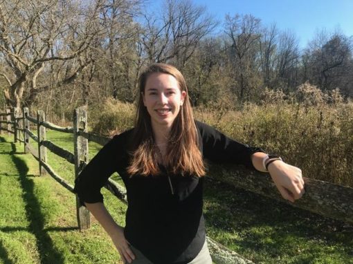 Our Team - Wallace Landscape Associates